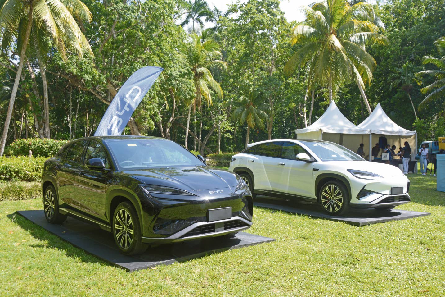 BYD confirms ATL Automotive as executive dealer - Jamaica Observer