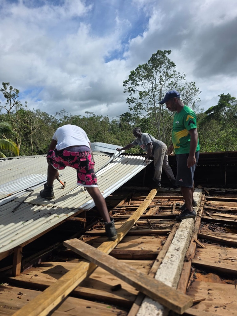 Four Jamaicans appointed to Caribbean Artificial Intelligence Task Force - Jamaica Observer