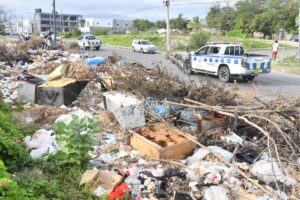 Garbage pile-up serious health risk - Jamaica Observer