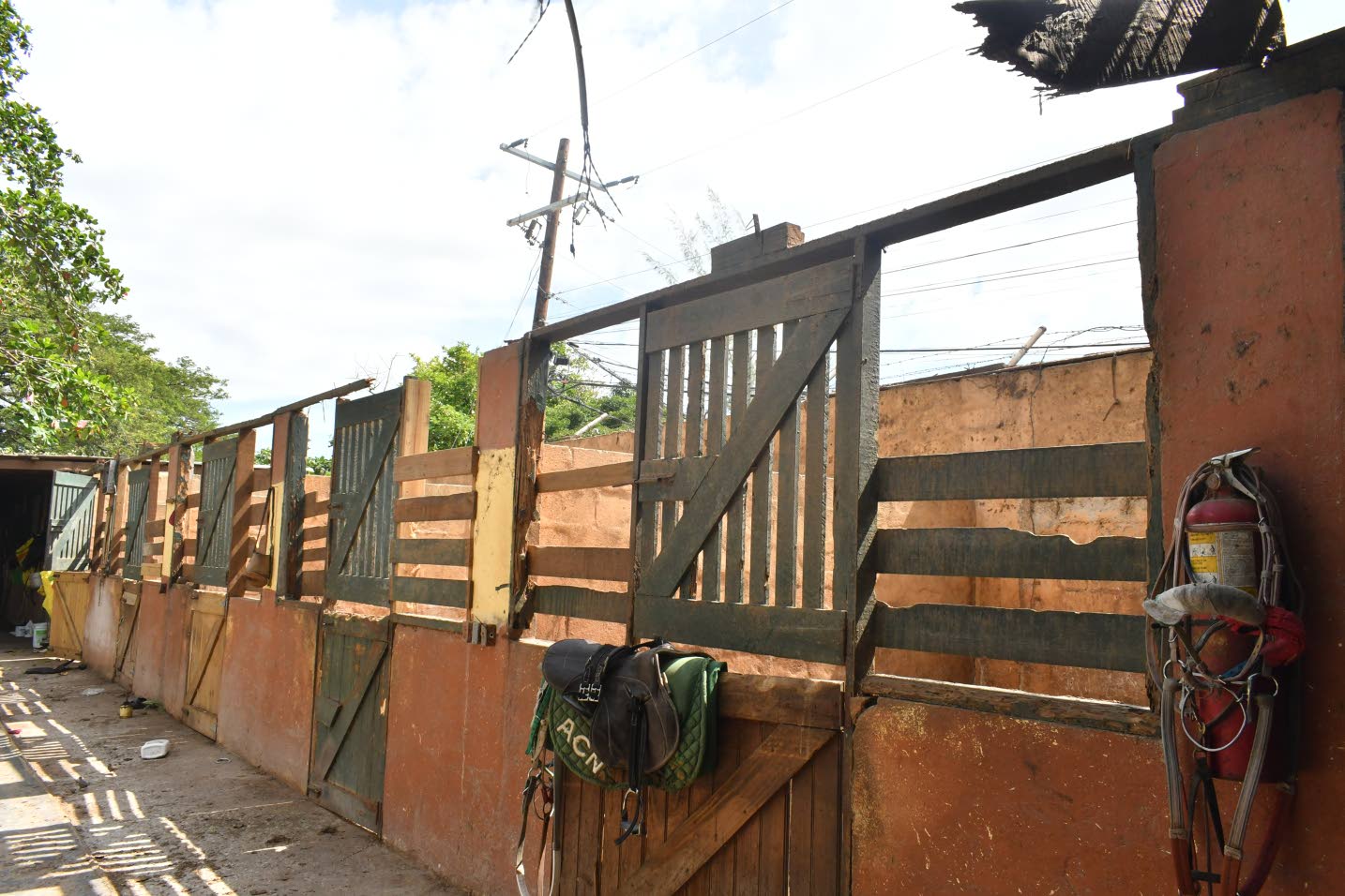 Nunes’ stable rises above hurricane woes, focusing on gratitude ...