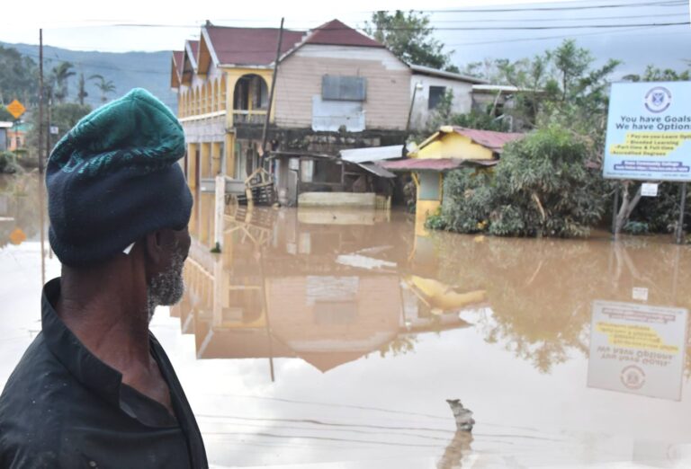 Bumper turnout for Zimi Seh Riva - Jamaica Observer