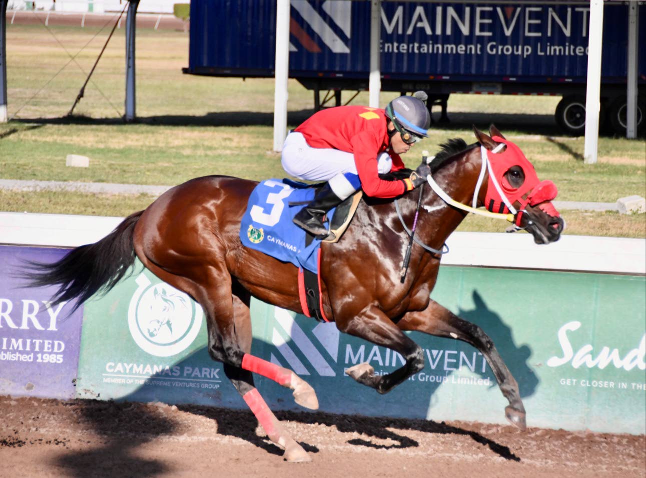 Updated provisional list of starters for Mouttet Mile 2025 - Jamaica ...