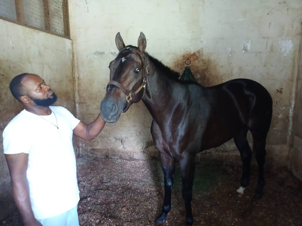 Nunes’ horses bouncing back from Hurricane setbacks for Mouttet Mile ...