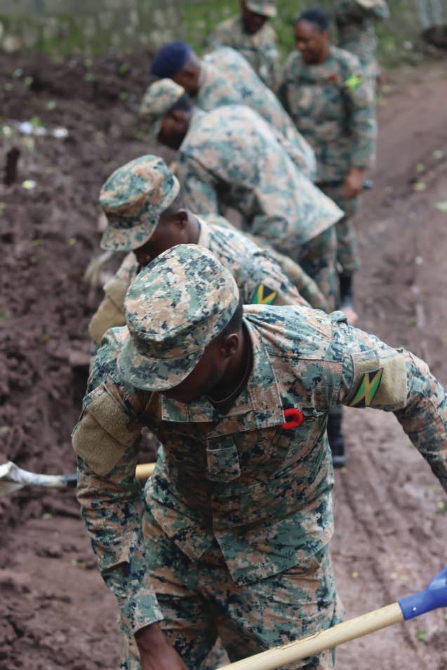 Gov’t must lean in on existing agents - Jamaica Observer