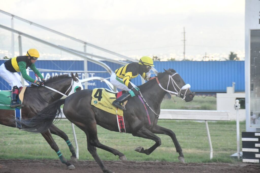 Digital One books Mouttet Mile spot with Alsafra Trophy win - Jamaica ...
