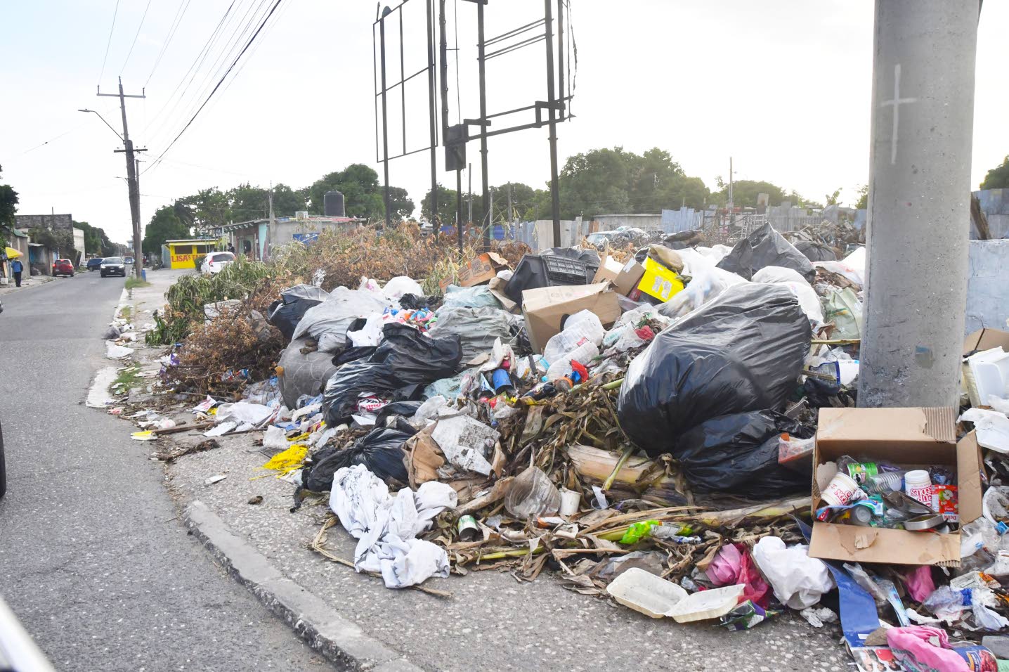 Messy menace - Jamaica Observer