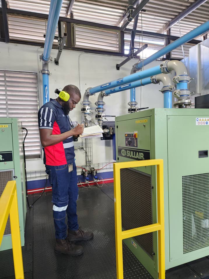 Fortis Cadere Cedere Non Potest - Jamaica Observer