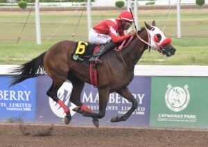 Bulletproofcoffee, Major Danger top contenders for $1.25-m Racehorse ...