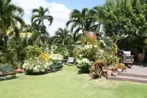 Garden Restoration After The Storm (Part 2) - Jamaica Observer