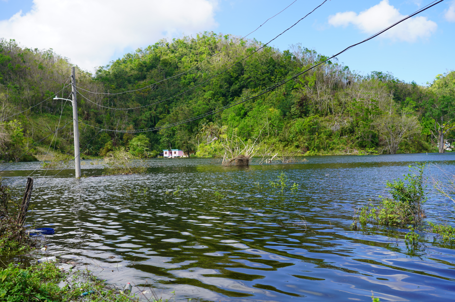 ‘More than two light post deep’ - Jamaica Observer