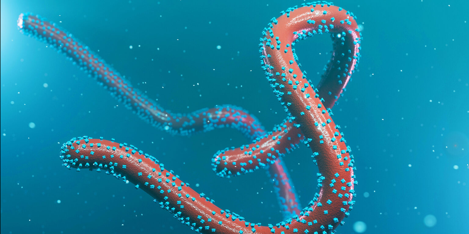 Ethiopia confirms outbreak of deadly Marbug virus: Africa CDC - Jamaica ...