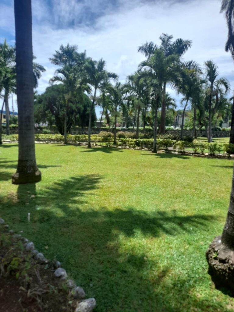 UDC announces the reopening of Turtle River Park - Jamaica Observer