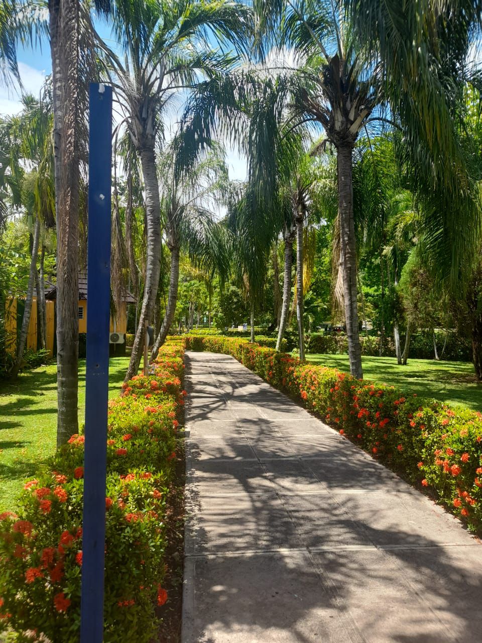 Playing for progress: Neville Bell advances young athletes beyond the ...