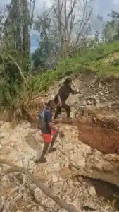 St Elizabeth North East MP calls for assistance in clearing blocked ...