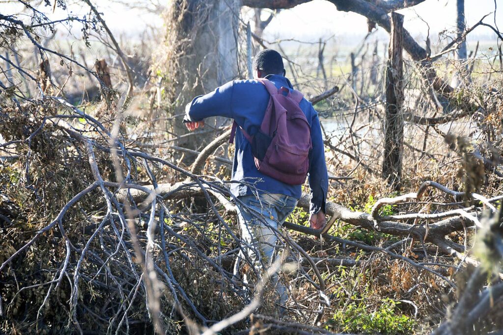 Mailpac sets sights on regional roll-out - Jamaica Observer