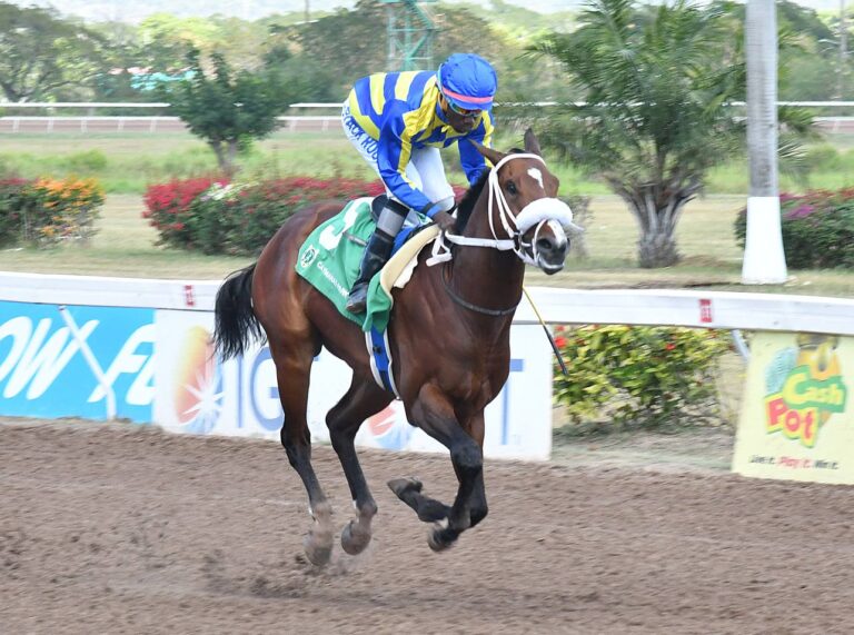Another One eyes Charles Hussey Trophy - Jamaica Observer