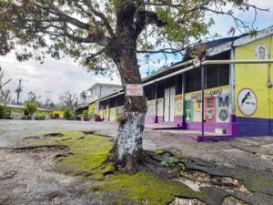 A road map for reopening schools - Jamaica Observer