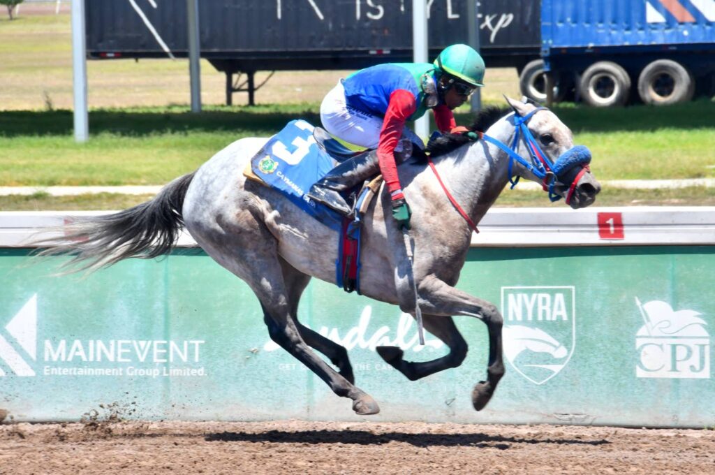 Run Julie Run looks to defend Chairman’s crown - Jamaica Observer