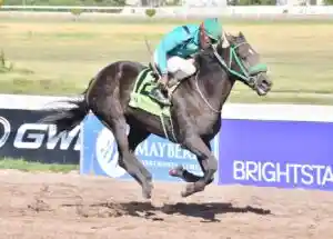 Dane Nelson scores double win on return to Caymanas Park - Jamaica Observer