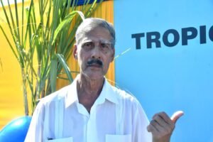 Tropical Sugar backs US$2.5-m mangrove rescue - Jamaica Observer