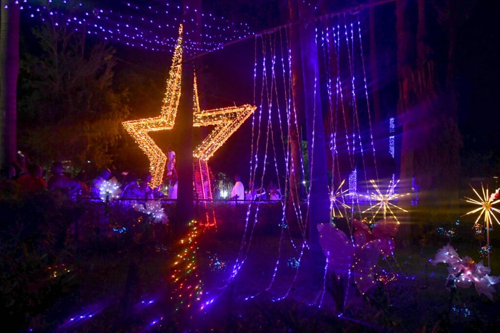 News - Jamaica Observer