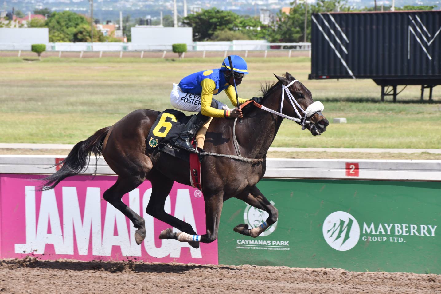 Foster’s double delight at Caymanas Park - Jamaica Observer