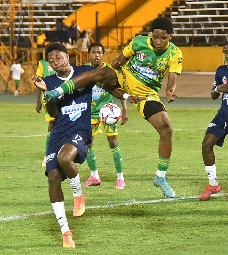 ISSA’s plate may be crowded, but its capacity to cope is beyond doubt ...