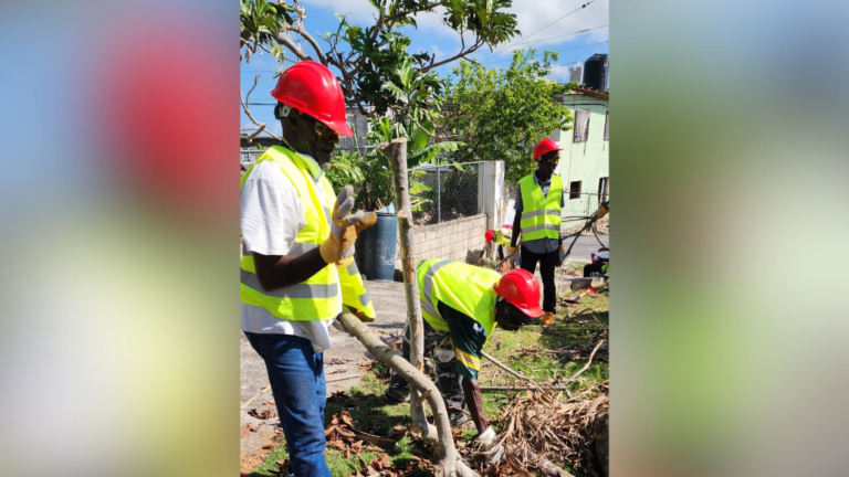 She’s a Bad Mama Jama singer Carl Carlton has died - Jamaica Observer