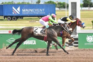 We Jammin makes winning debut at Caymanas Park - Jamaica Observer