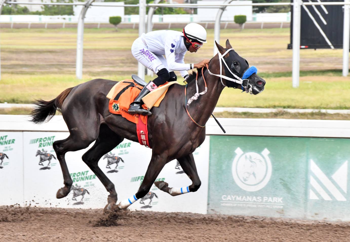 RACING GUIDE FOR SATURDAY, DECEMBER 27, 2025 - Jamaica Observer