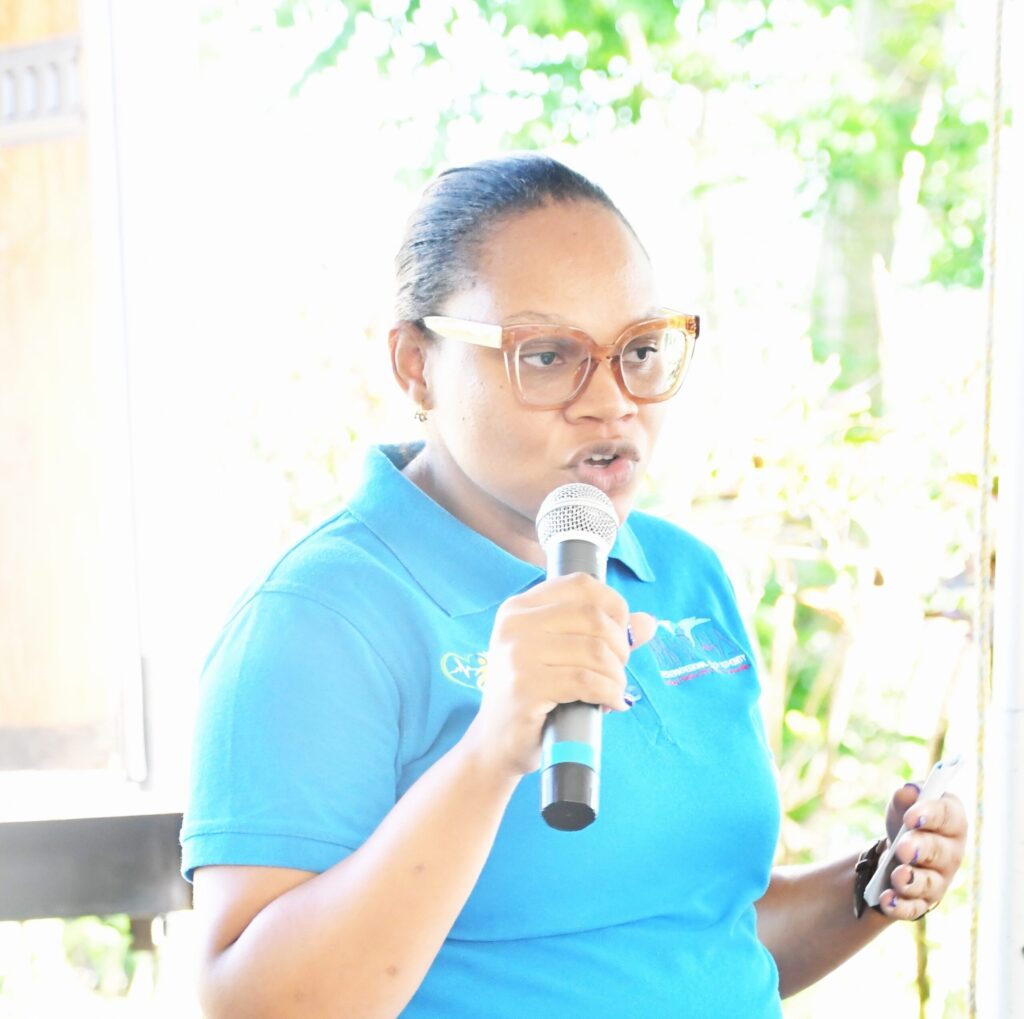 Hurricane Melissa and disaster tourism - Jamaica Observer