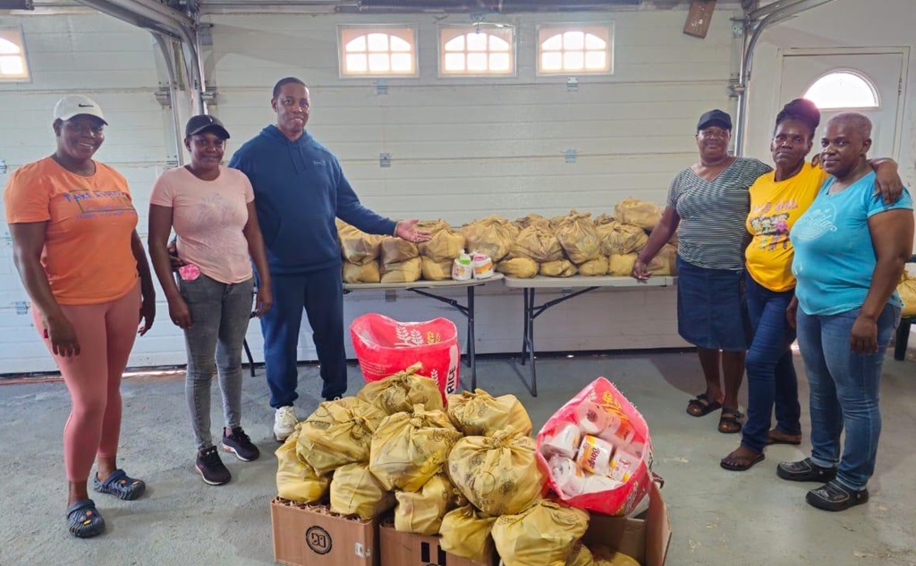 Danielle Archer resigns as NIA principal director - Jamaica Observer