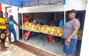 DLW Foundation gives back to St Elizabeth - Jamaica Observer