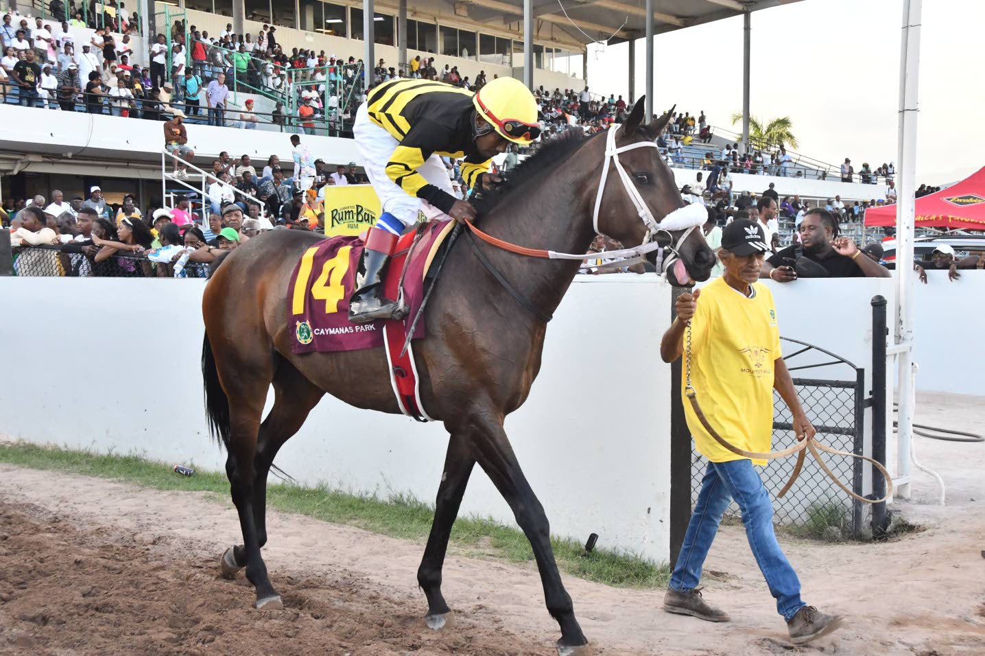 Rideallday blows away competition in Mouttet Mile - Jamaica Observer