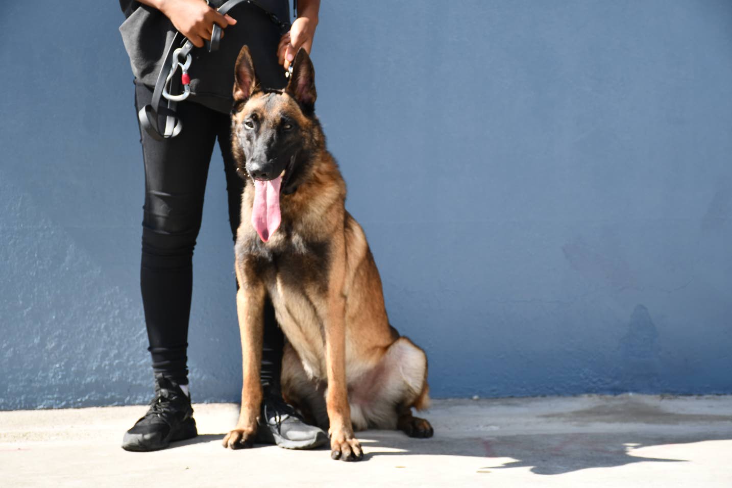 Border protection boost - Jamaica Observer