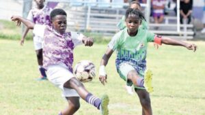 Heavyweights Sts Peter and Paul, Lannaman’s clash in Henriques Cup ...