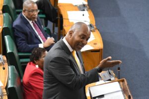 Robinson urges wide scrutiny of gated communities Bill - Jamaica Observer