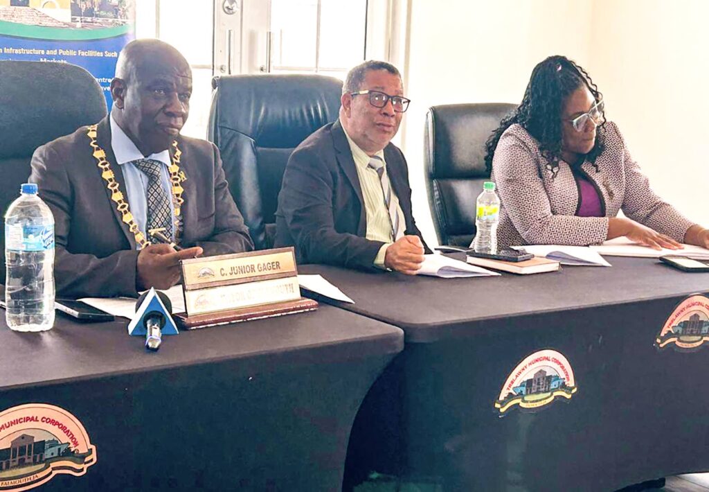 Every dollar needed - Jamaica Observer