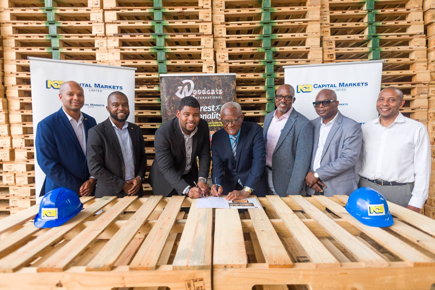 Woodcats launches first IPO under Junior Market’s new $750-m cap ...