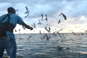 Feeding time - Jamaica Observer