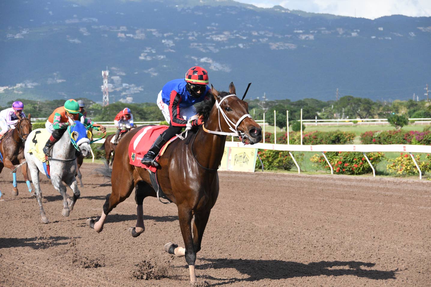 Silent American gets first win on local soil - Jamaica Observer