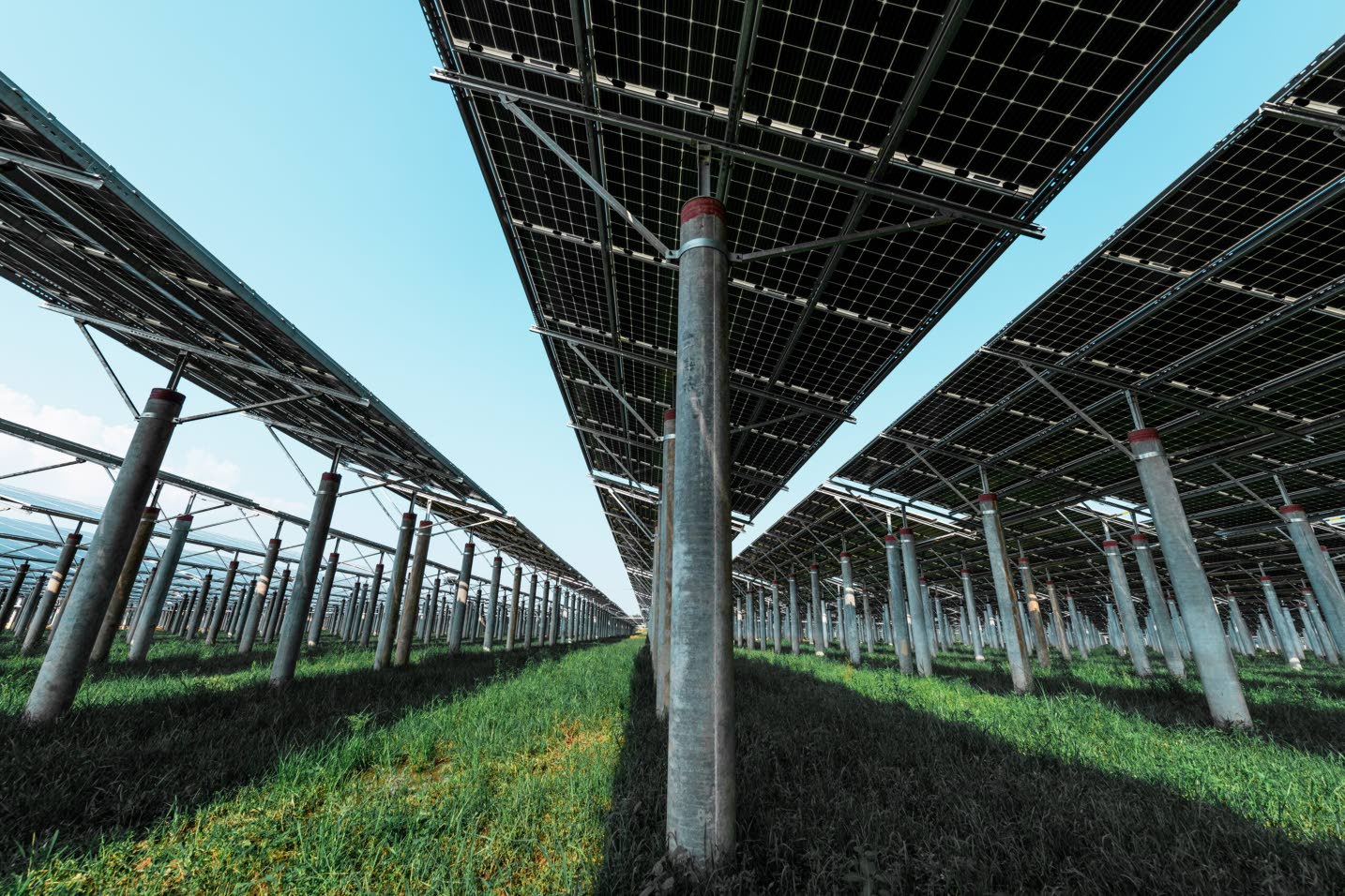 IEG swings to $1-b equity on rising project revenues - Jamaica Observer