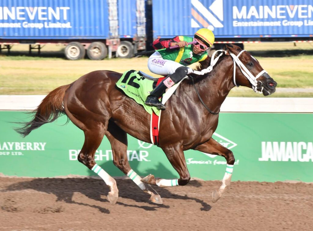 Of a Revolution set for dominant run in Miracle Man Cup - Jamaica Observer