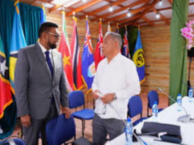 Belize hoping to strengthen relations with Guyana during visit of ...