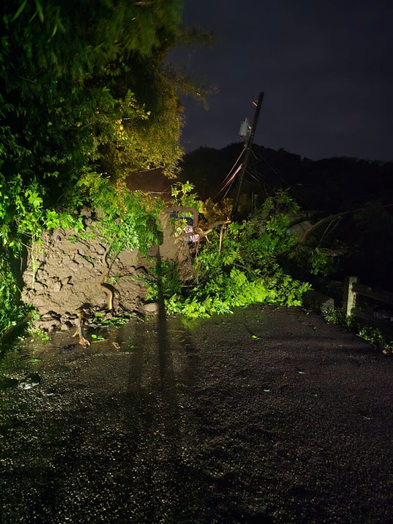 Spice's ‘Go Down Deh’ featuring Shaggy and Sean Paul certified silver ...