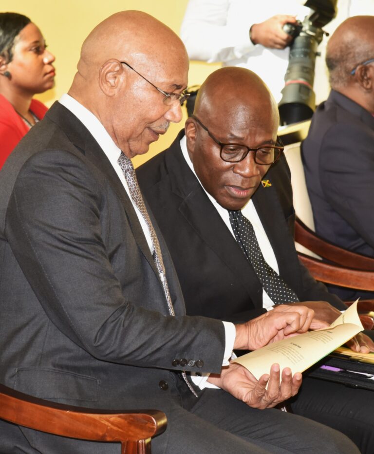 The horse in the hospital - Jamaica Observer