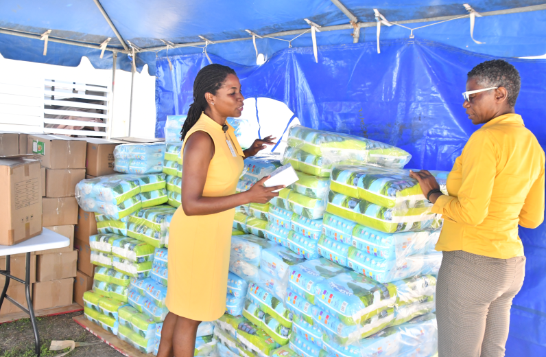 Chile declares emergency as wildfires kill at least 15 - Jamaica Observer