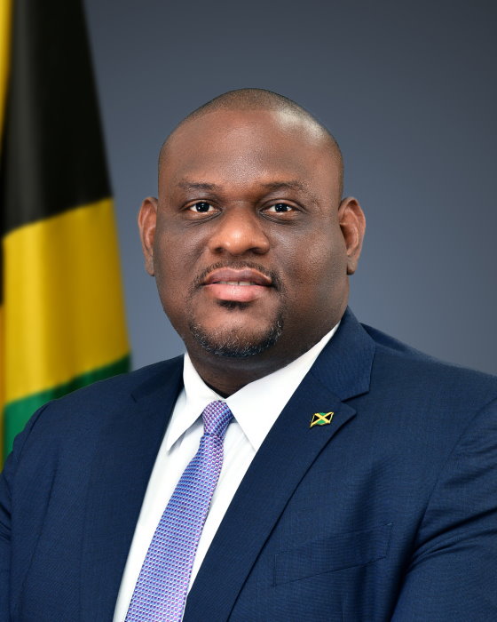 Gov’t to chart course on access to information reform - Jamaica Observer