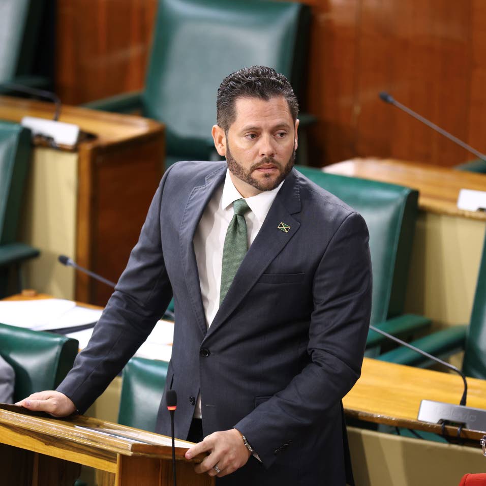 Tavares-Finson throws support behind Jury Act amendments - Jamaica Observer