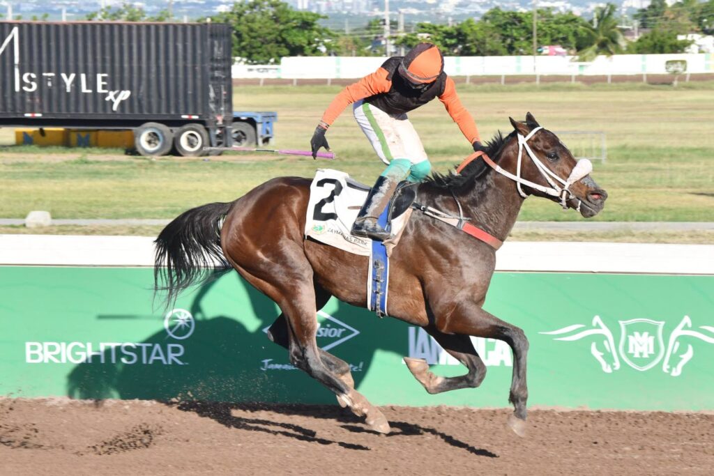 Money Market impressive in Boxing Day Sprint - Jamaica Observer